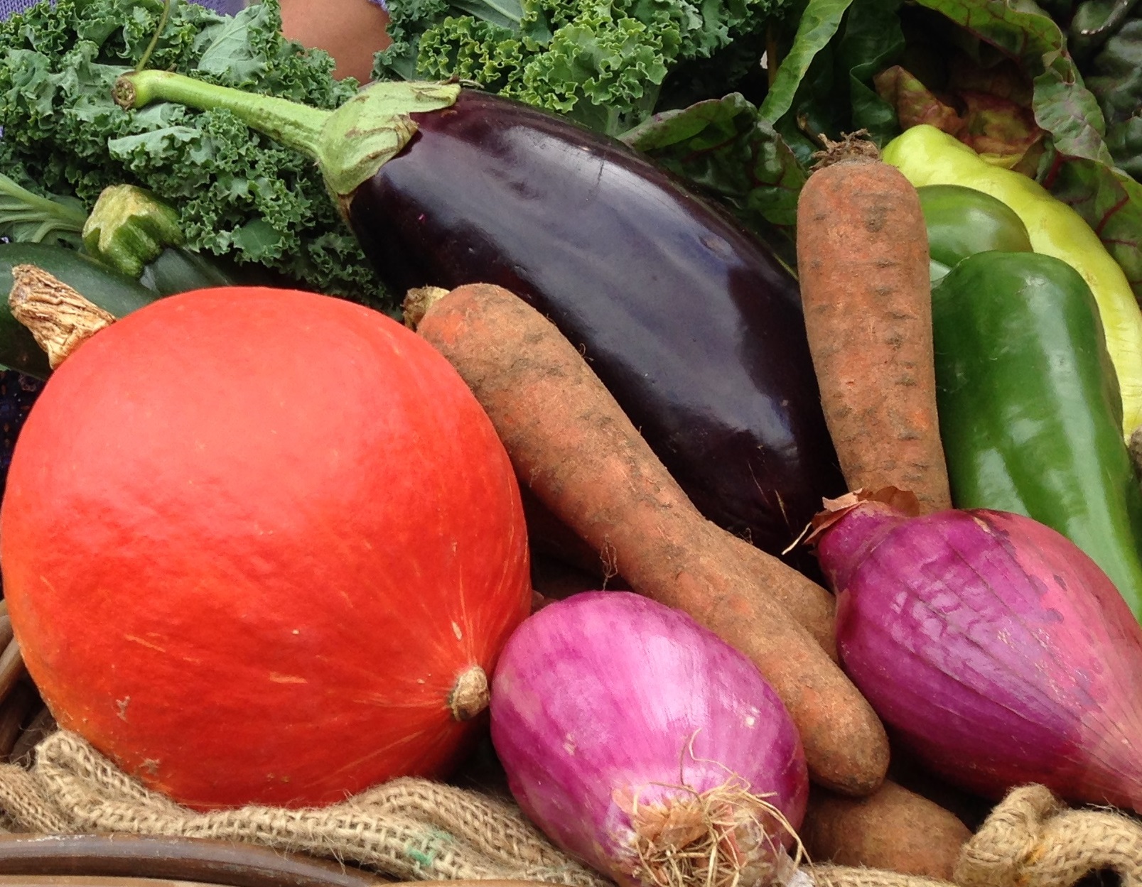 Sutton Community Farm – EcoLocal